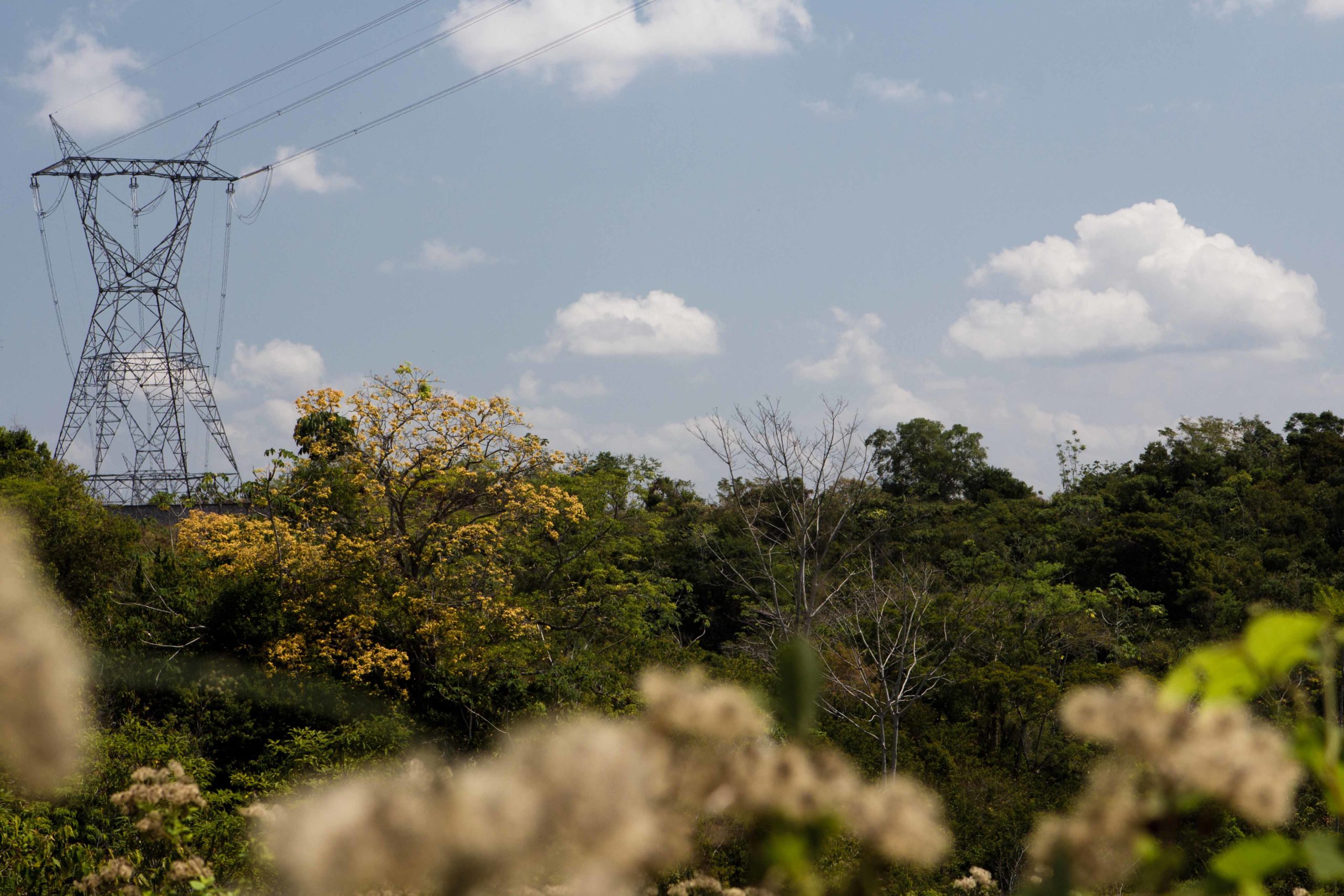 XM, filial del Grupo ISA se convierte en nuevo miembro de Climate Chain ...